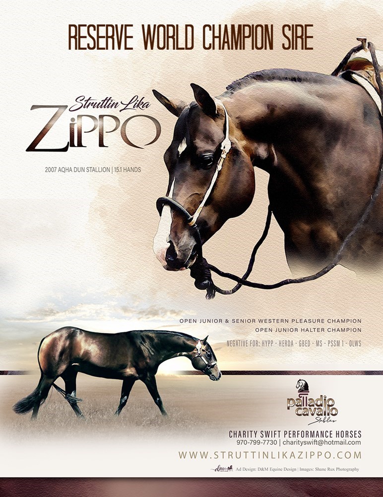 #106: Strutin Lika Zippo - WinningBidder.com